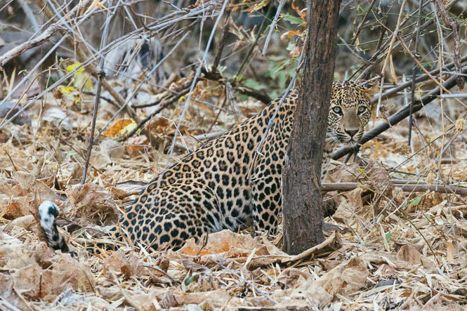 What is Shutter Speed – Photography Tutorial for Beginners! – Learn Photography Online